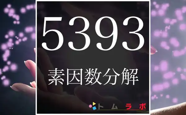 5393の素因数分解のやり方 | 数学のトムラボ